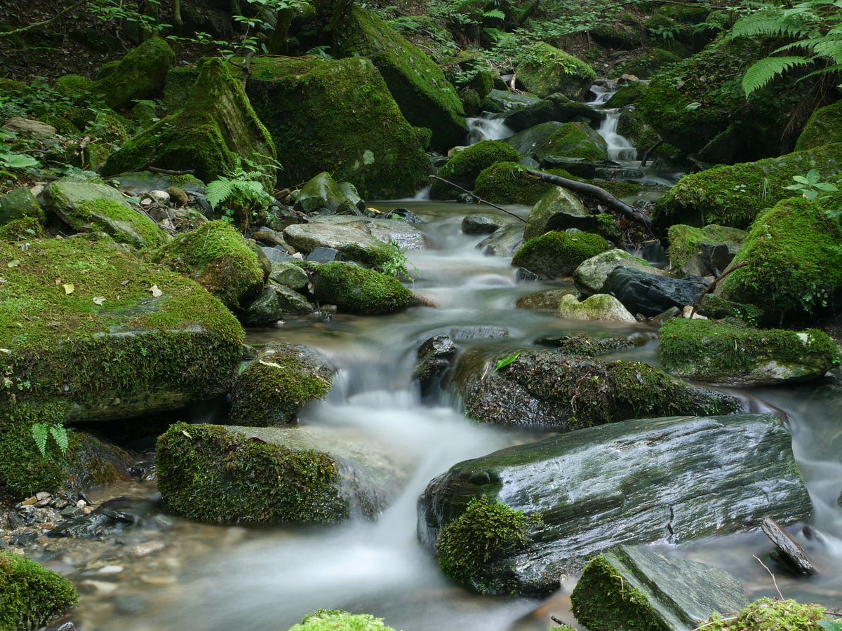 AWS DynamoDB Streams — Change Data Capture for DynamoDB Tables | by Dunith Danushka | Tributary ...