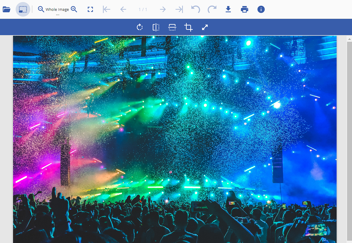 Edit PNG, JPEG, GIF and Other Images with a JavaScript Image Viewer ...