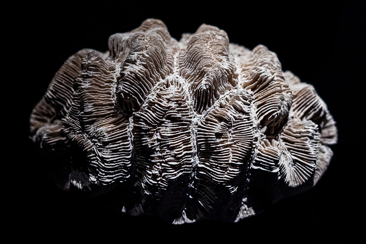 apothegm. seventh ray | by C.A. Martinez | Rainbow Salad | Medium