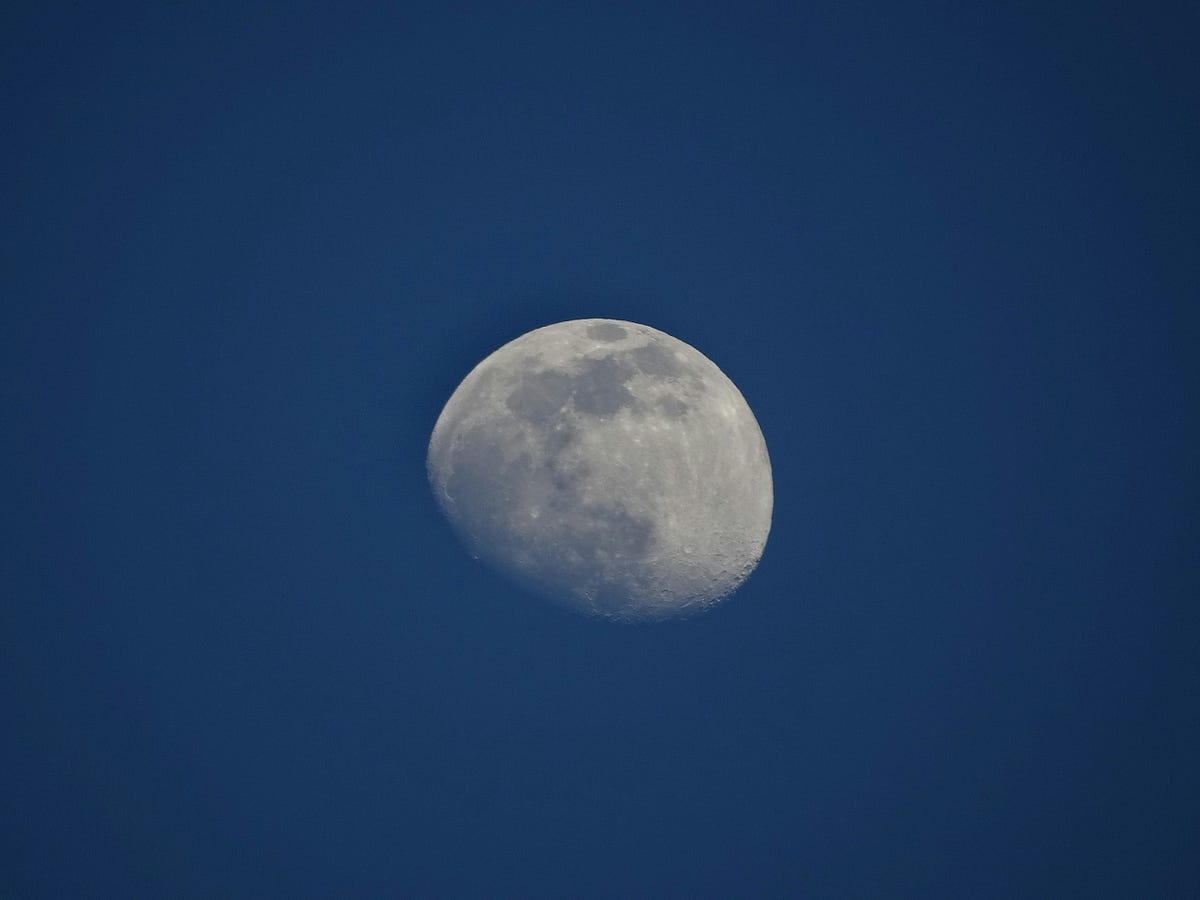Scars of the Moon. A Poetic symbol of seeing the best in… | by Pranjay ...