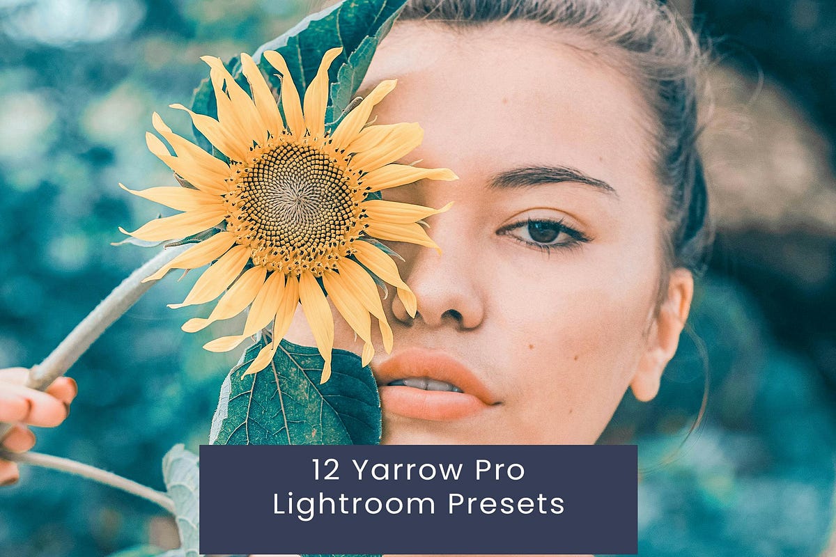 12 Yarrow Pro Lightroom Presets | by Zenzest | Medium