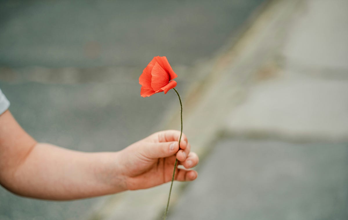 9 Subtle Red Flags in Women Most Men Miss | by Noor Wisdom | No Time ...