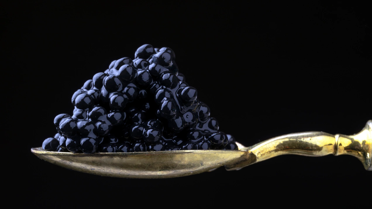 How International Caviar Trade Is Regulated — And Who Enforces the ...
