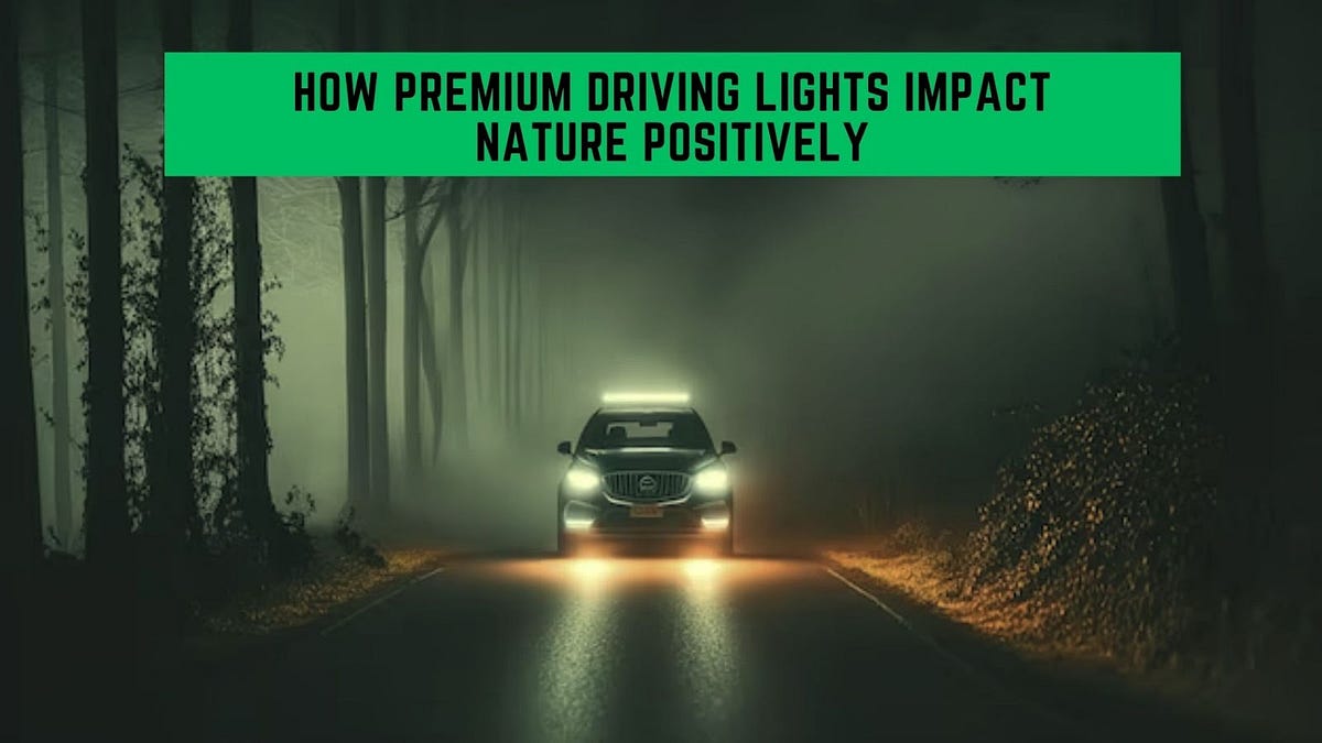 Lightforce LED Lights: How Premium Driving Lights Impact Nature ...
