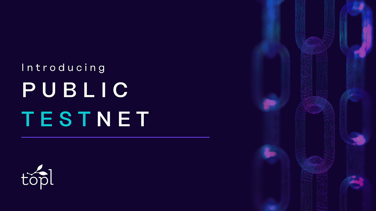 Build With Topl: Announcing Public Testnet Launch | by Tereza Bizkova ...