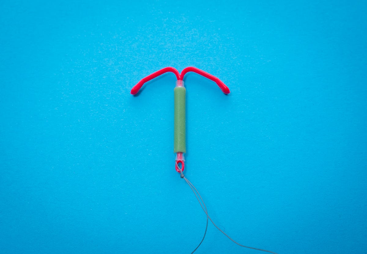 When Your IUD is a Pain in the Uterus | by Anne the Vegan | The Art of ...
