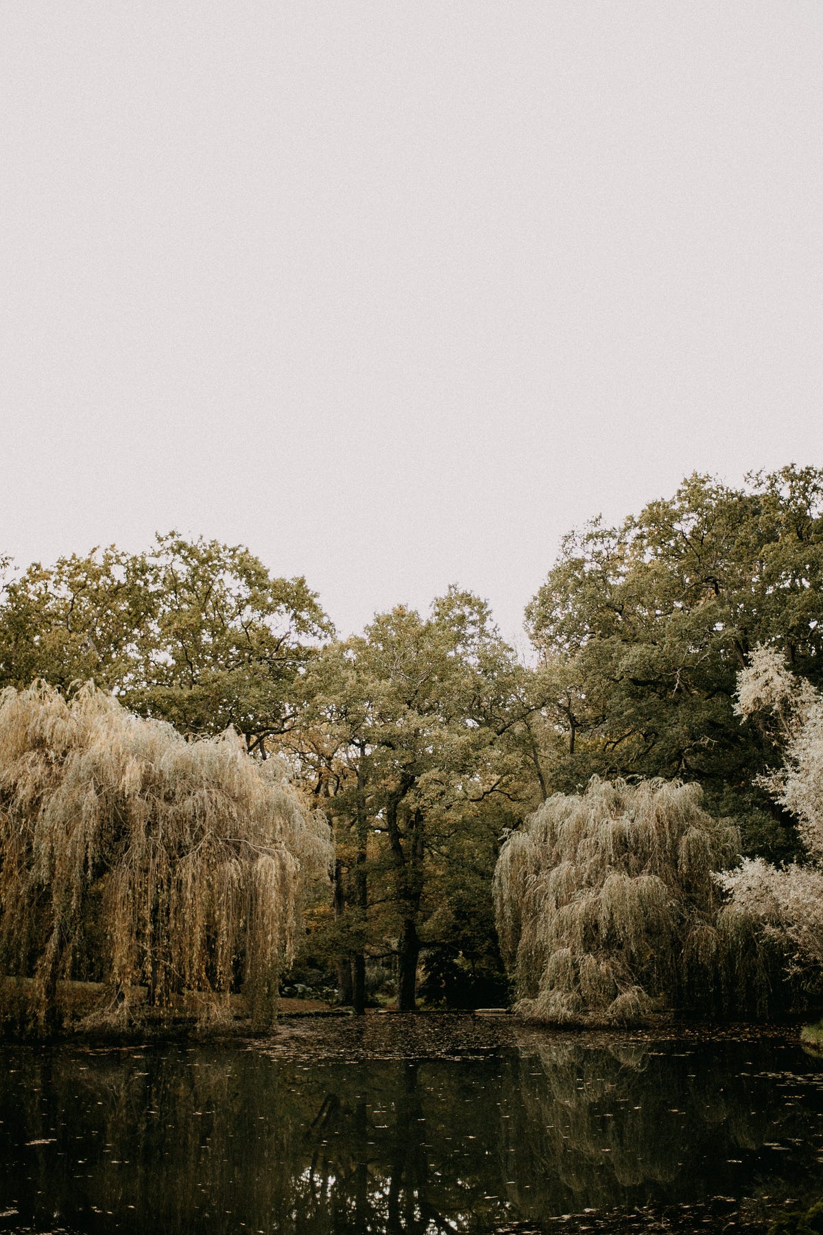 While Weeping. Willfully whistling winds whisp Wiping… | by Rumi-Nation ...