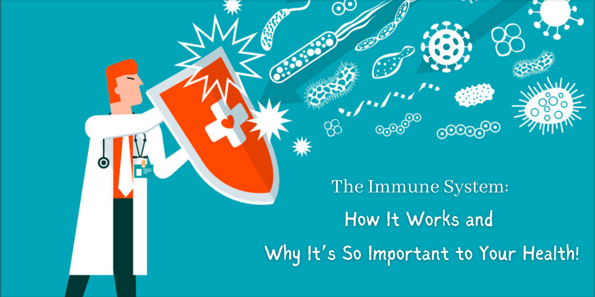 The Immune System: How It Works and Why It’s So Important to Your ...