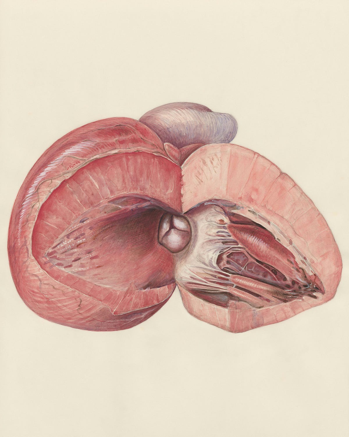 The Day I Learned About Loss and a Failing Kidney | by Sunanda Sathe | Quirky Rants | Jul, 2025 ...