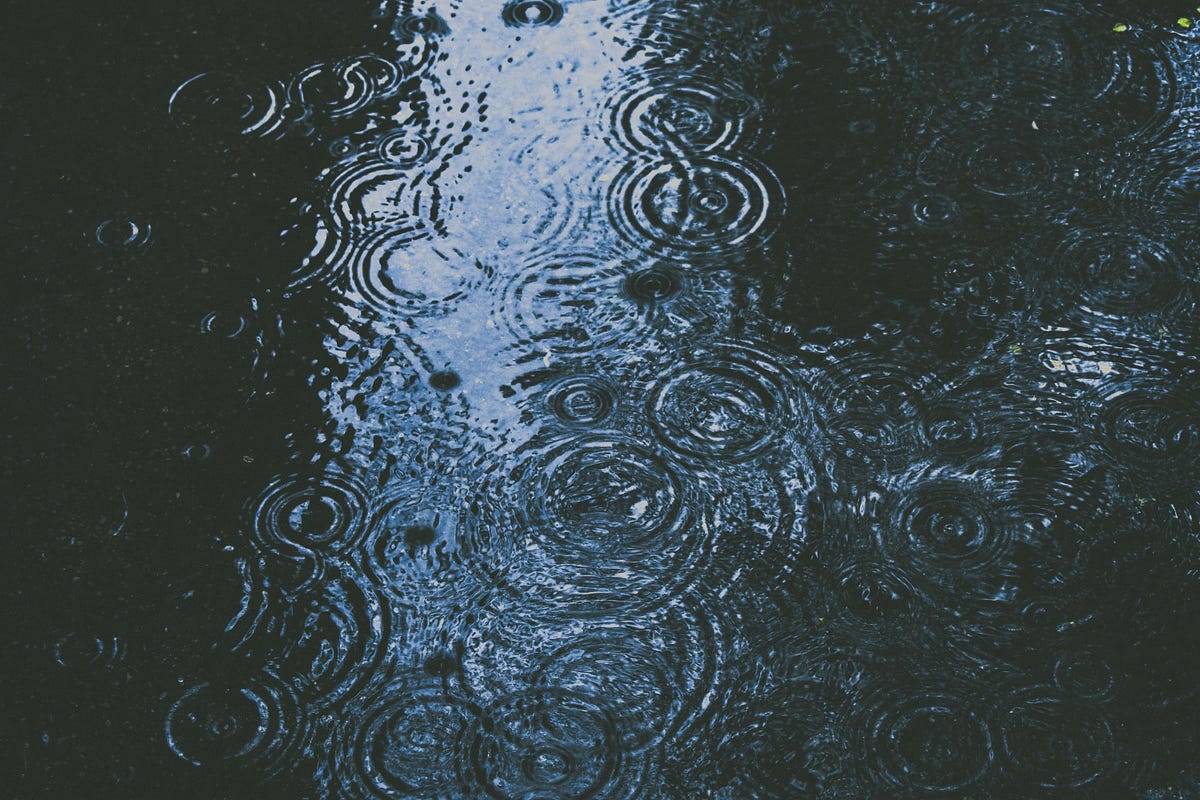 The Rain Leader. From above, possibilities descend. | by G. Damon Wells | Jul, 2025 | Medium