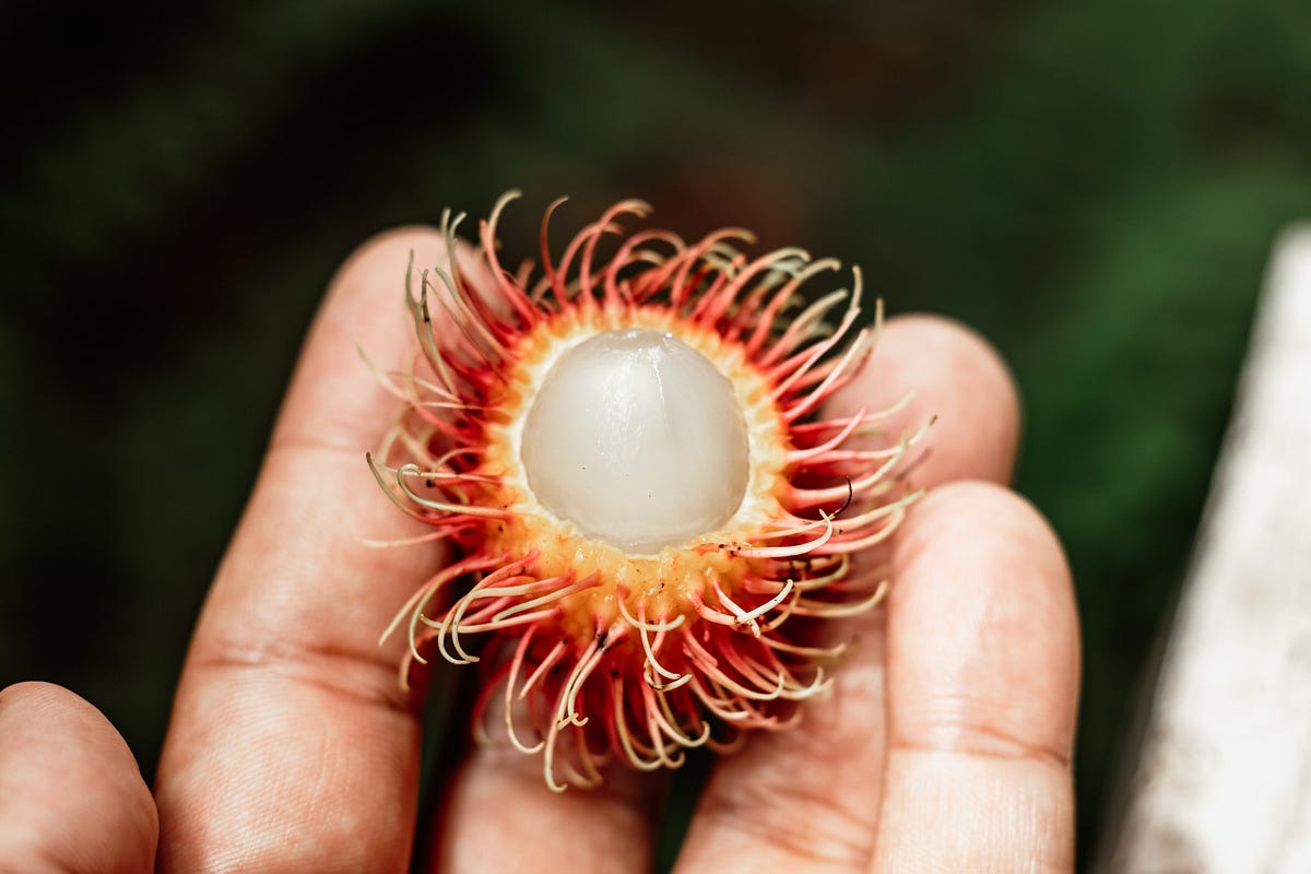 Rambutan. The Exotic Delight with a Tropical… | by Ur Girl | EmpowerHer ...