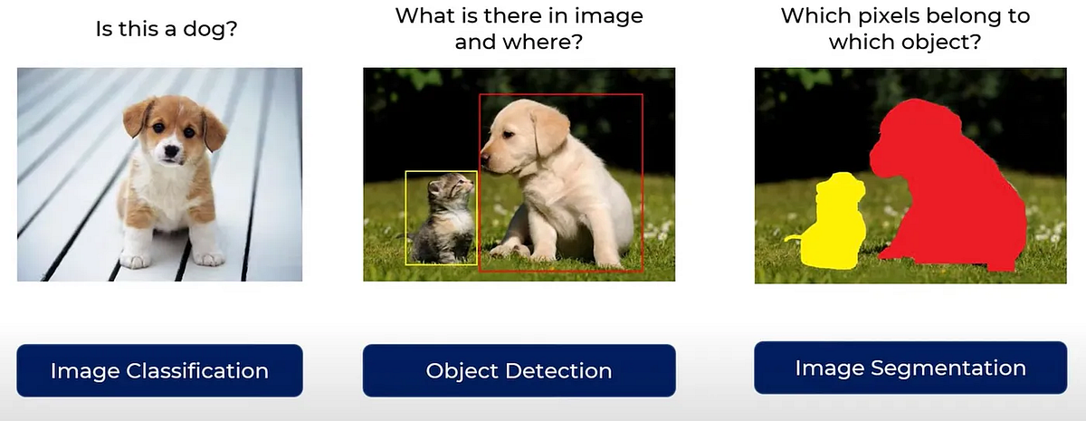Enhance Your Segmentation Model with TensorFlow & OpenCV: Highlighting ...