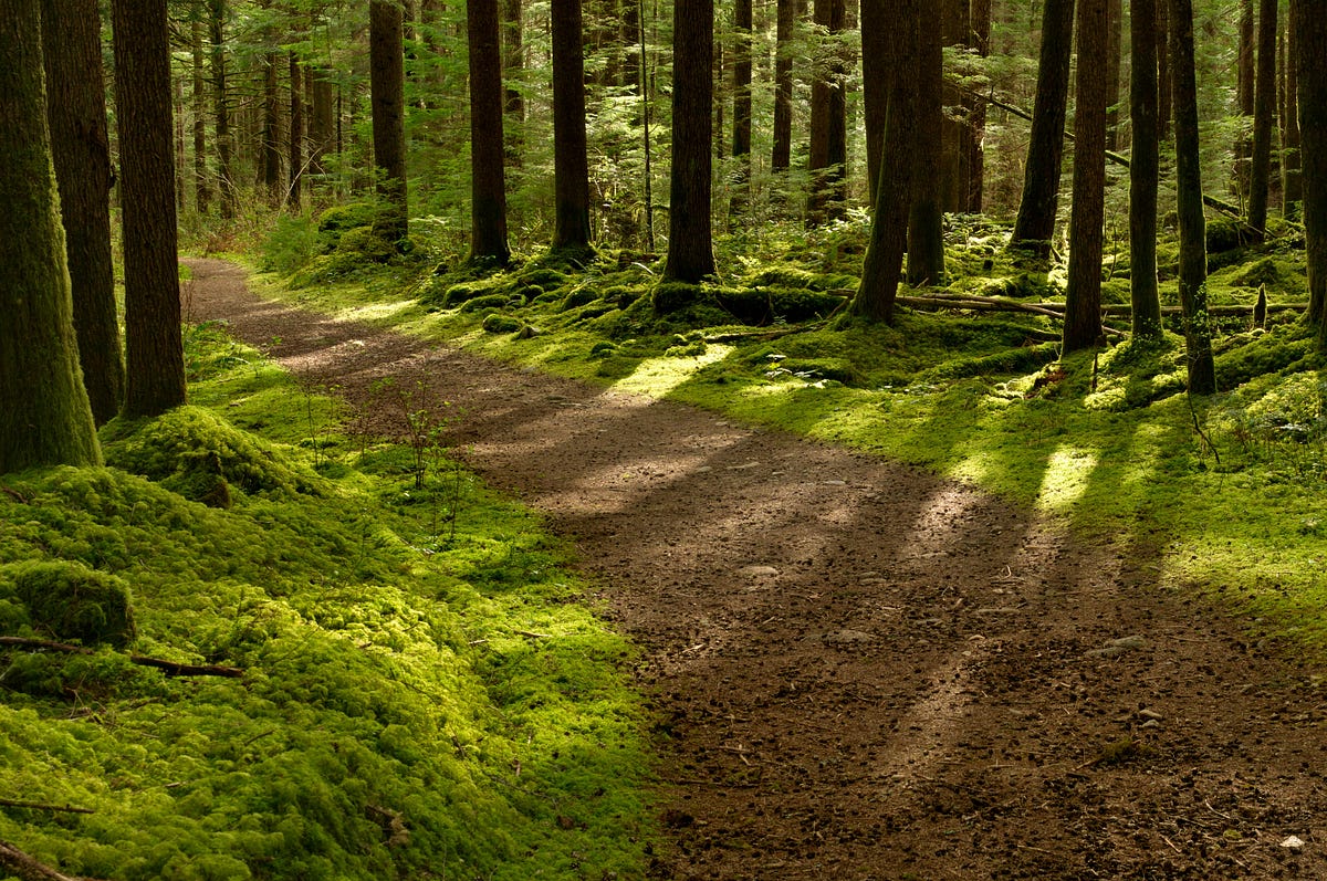 A Sustainable Path to Prosperity: Creating, Managing, and Sustaining Wealth | by Godwin Anyebe ...