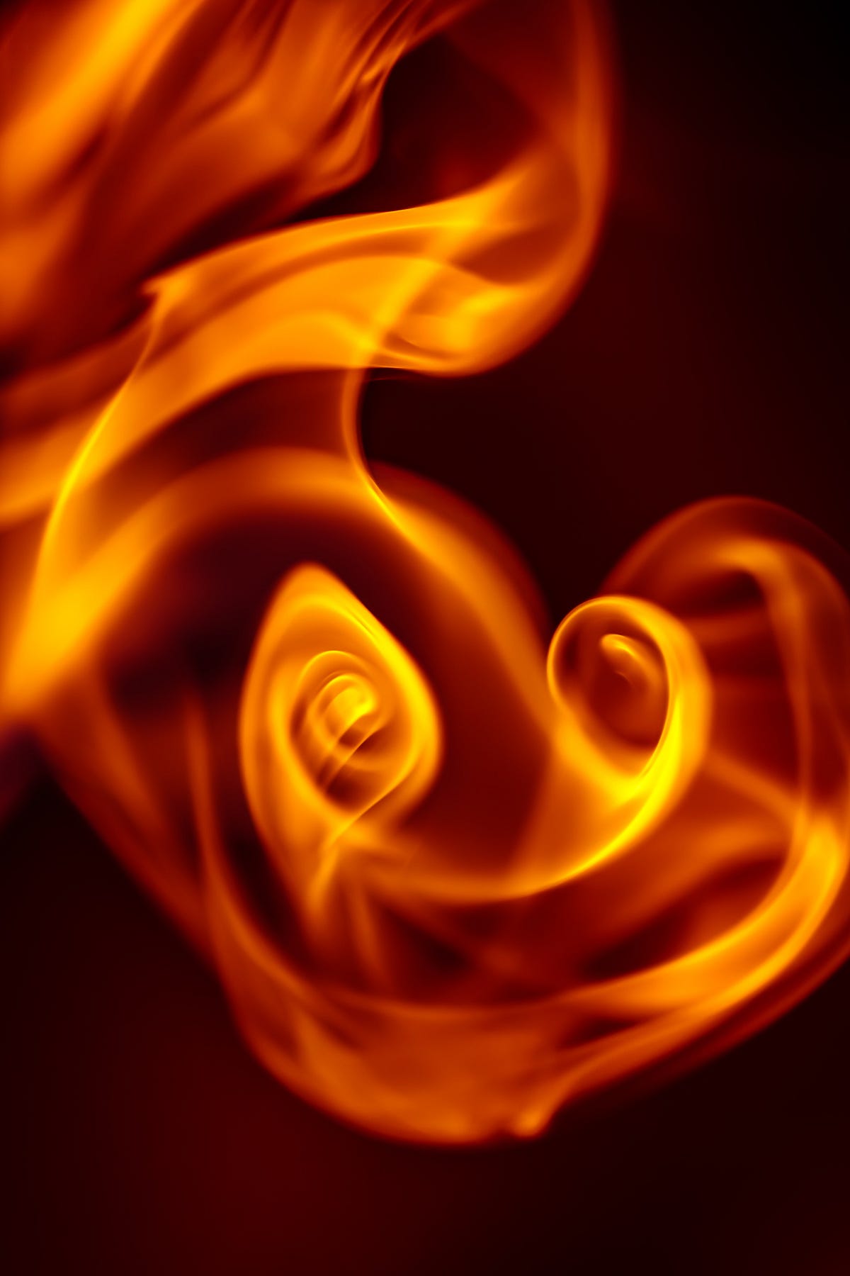 Phoenix. Reborn | by Alistair Knight | Medium