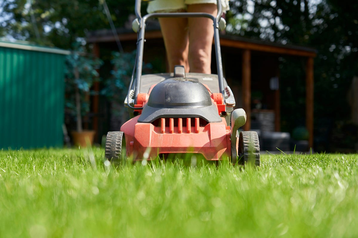 Hey Guys, Don’t Make ME Mow YOUR Grass! | by Trisha Faye | Mid-Knight ...