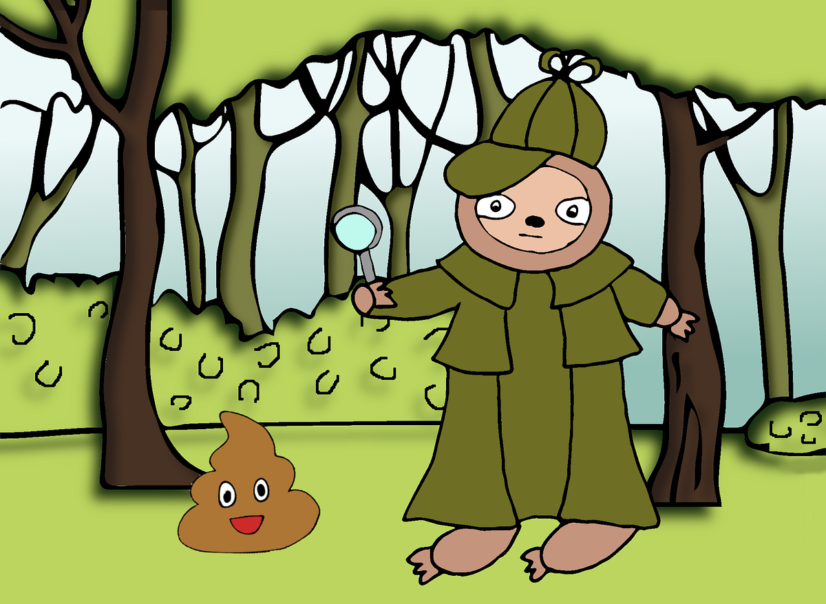 The Great Unsolved Mystery of Sloth Poop | by Philip S. Naudus | MuddyUm