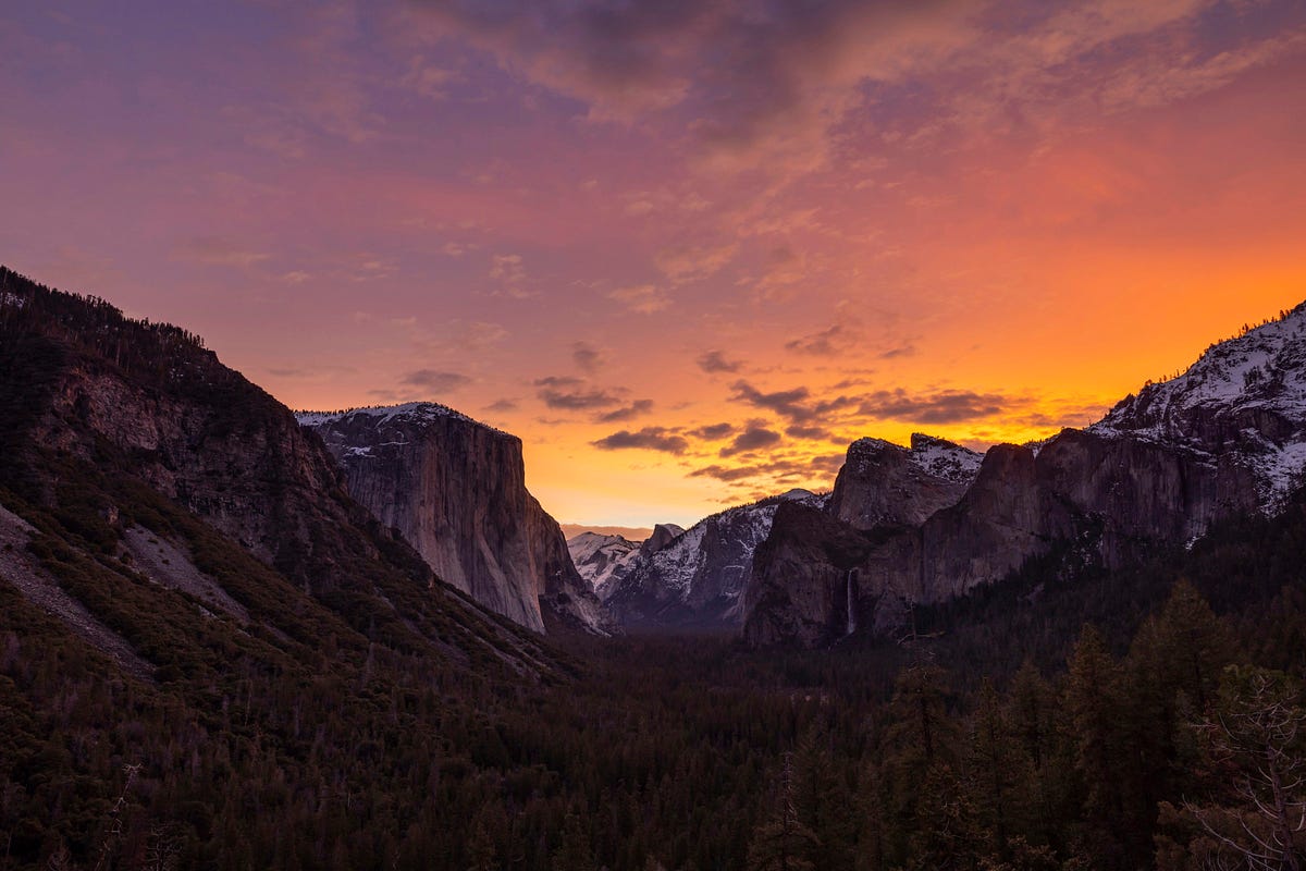 Undeniable | by Anvi Arya | Medium