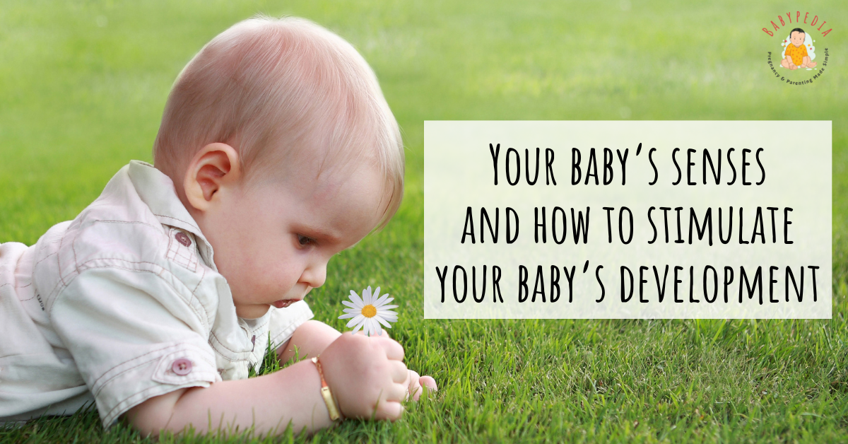 YOUR BABY’S SENSES AND HOW TO STIMULATE YOUR BABY FOR OPTIMAL ...