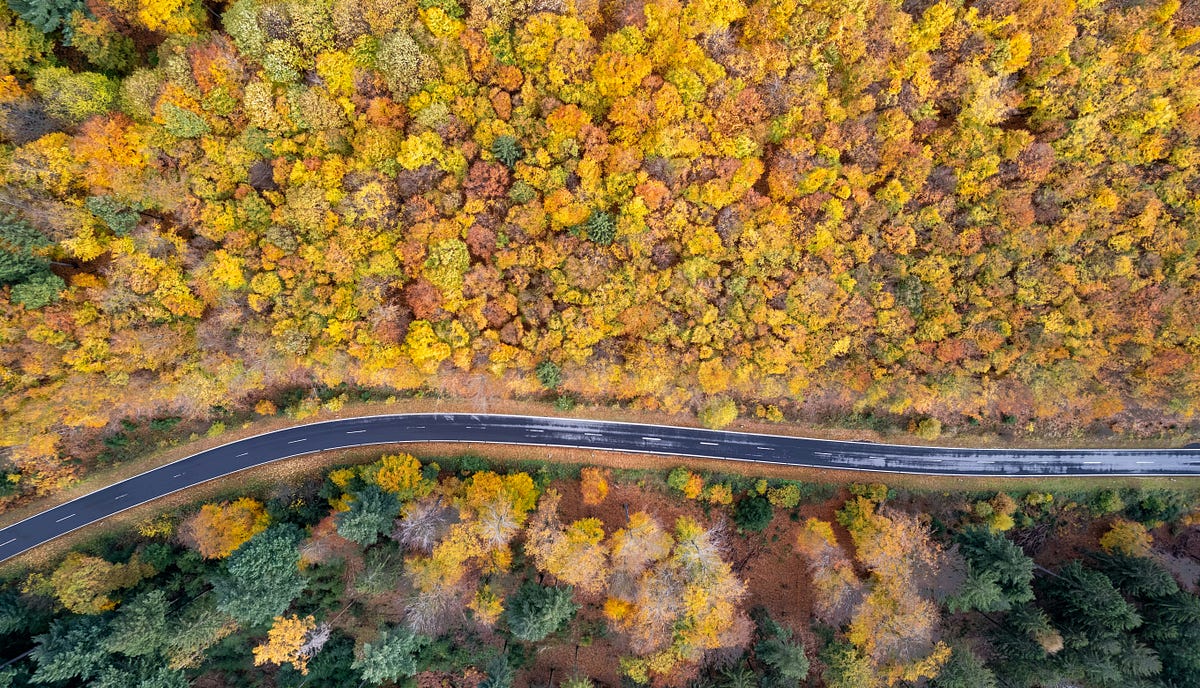 6 Scenic Drives that Scream "autumn!" | Trameter Stories