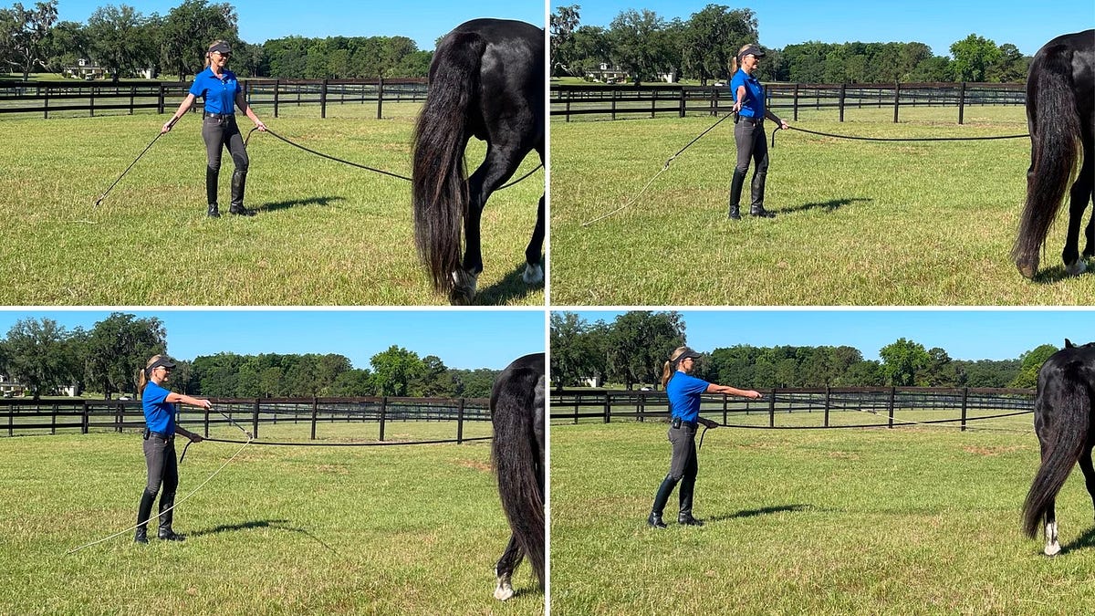 Are You Using The ‘Sweep’?. This is a great reminder to help you… | by ...