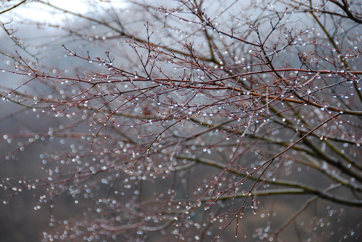 The Freezing Rain Job That Taught Me Snow Isn’t the Only Winter Problem ...