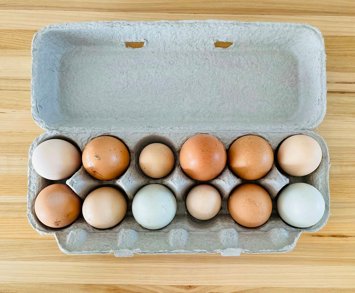 The Carton of Eggs. a fable of modern business | by Jeff Becraft | May ...