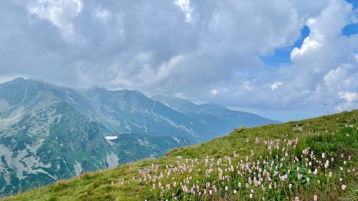 How To Dispatch Multiple Pyspark Jobs On A Databricks Notebook Using Python Multithreading And