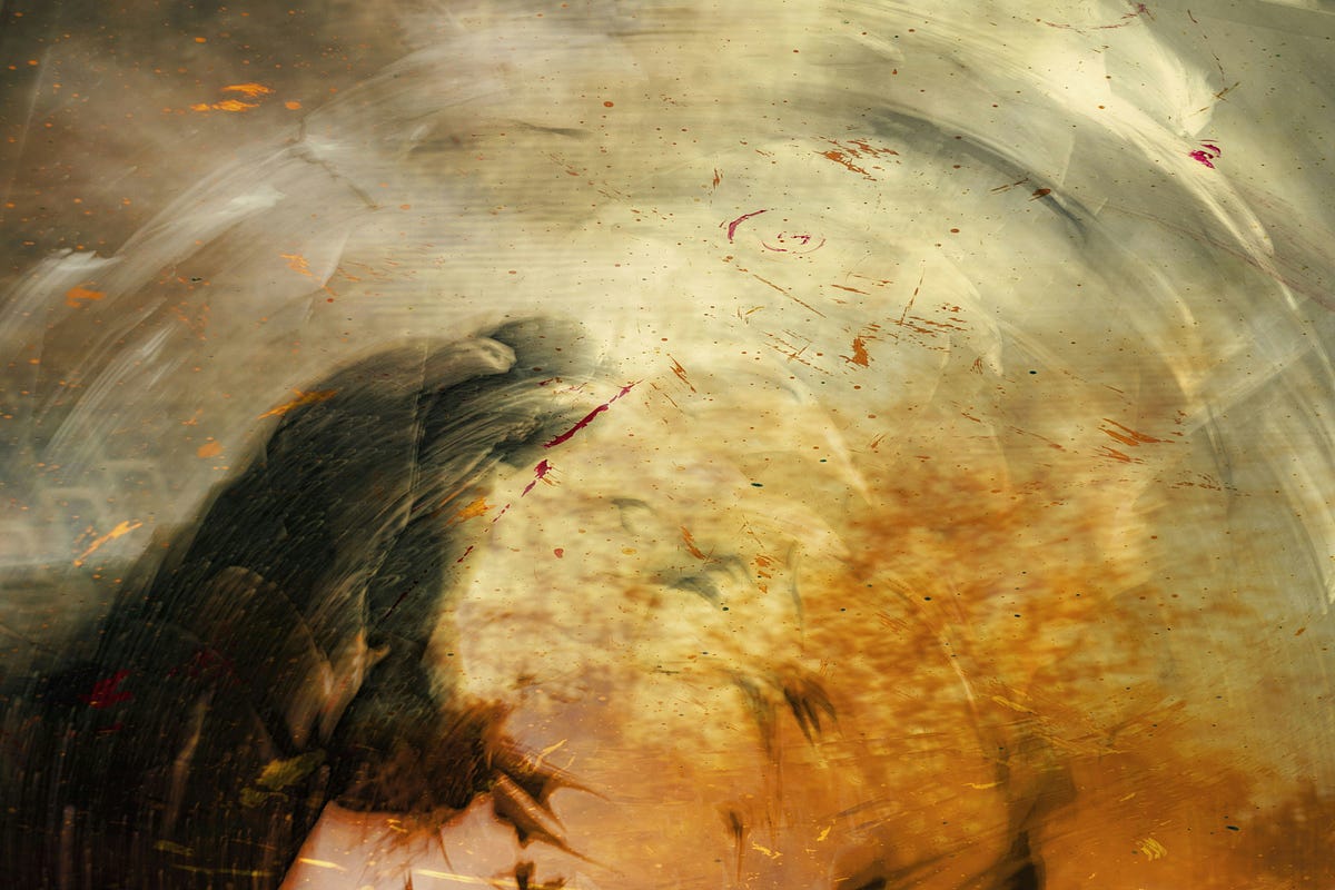 Mysterious Creature Spotted in Ohio | by History Hub | Medium