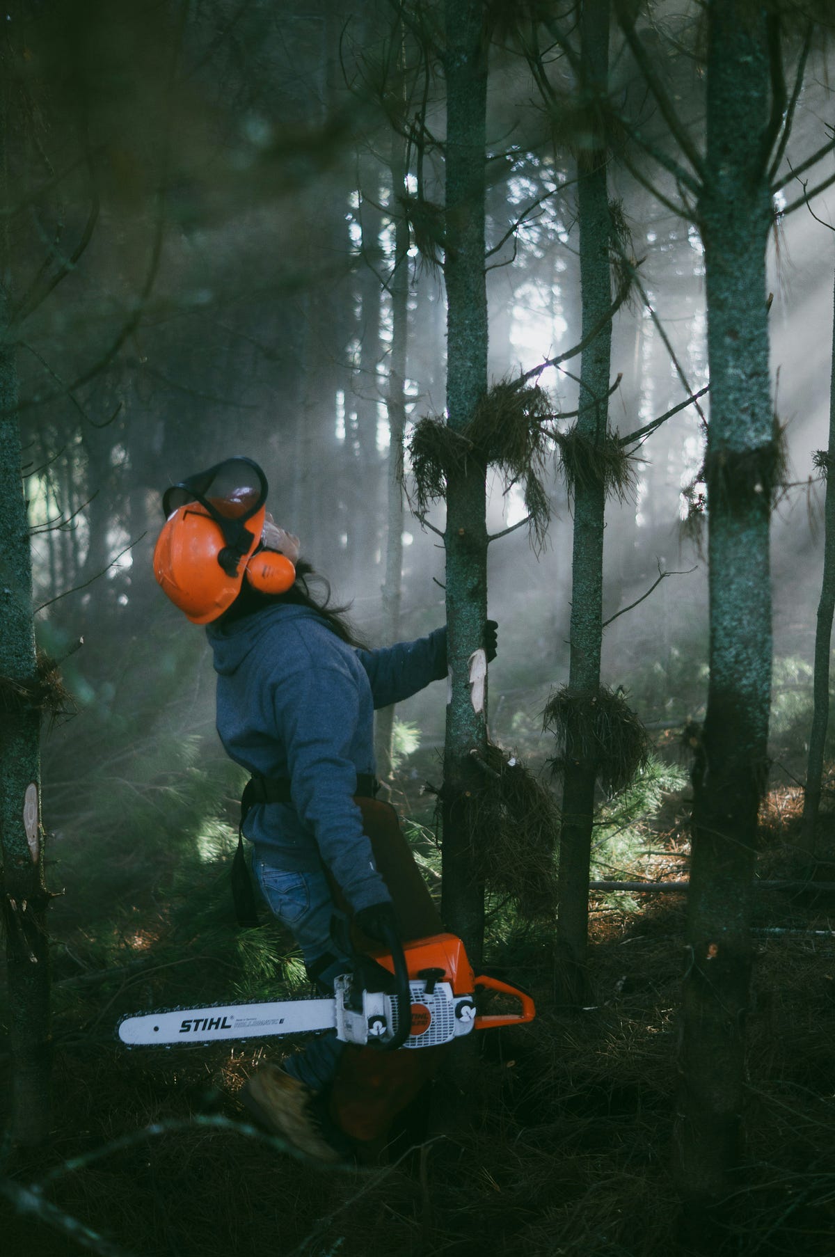 How Much to Service a Chainsaw. As an avid user of chainsaws for… | by ...