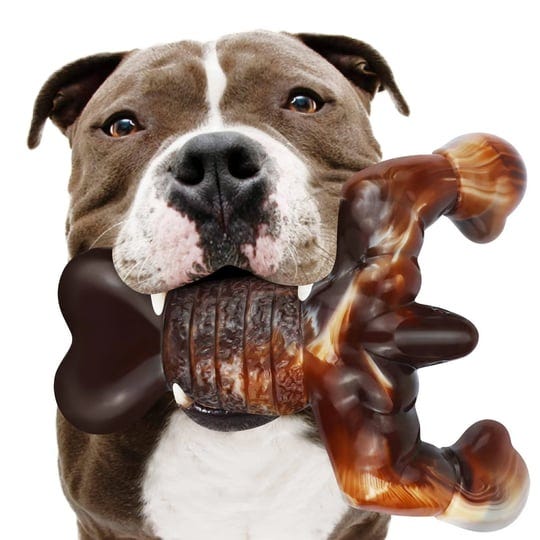 Dog Chew Bones | by Derek Hayes | Jun, 2024 | Medium