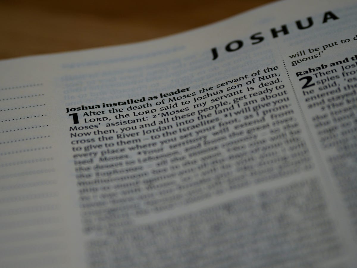 JOSUÉ | by Rafael Sá | Medium