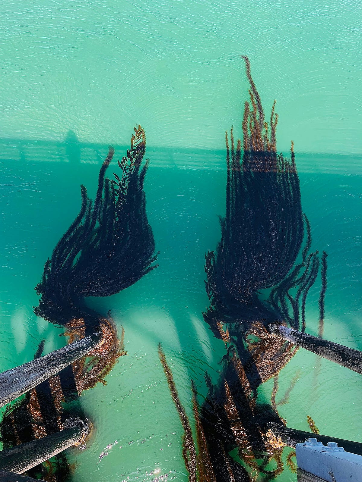 Unlocking B2B Success: Mastering Multi-Channel Sales with Shopify | by Ollie | Medium