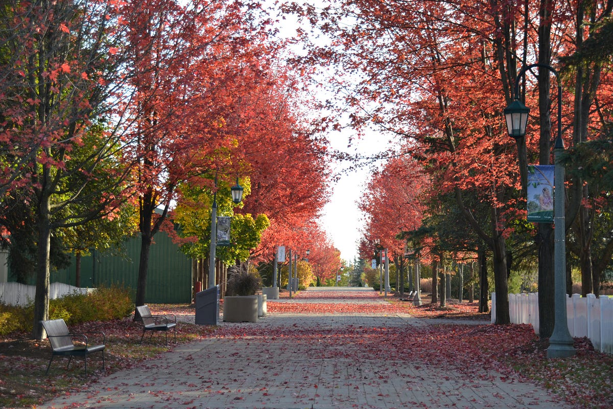 The 3 People Who Ruined My Morning Walk (In My Head) | by Ethan P ...