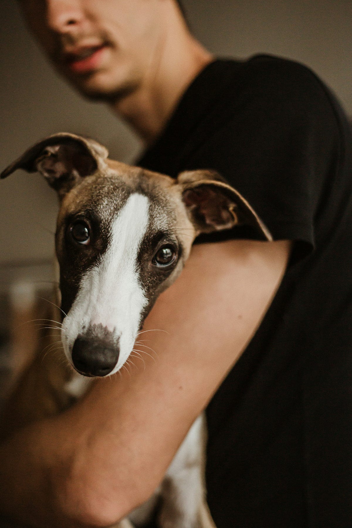 5 Ways To Praise Dogs That Make Them Uncomfortable | by Miang Writes ...