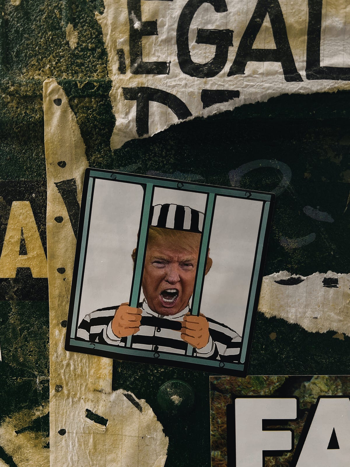 What Have We Learned from the Devastating, Never-Ending Trump Debacle ...