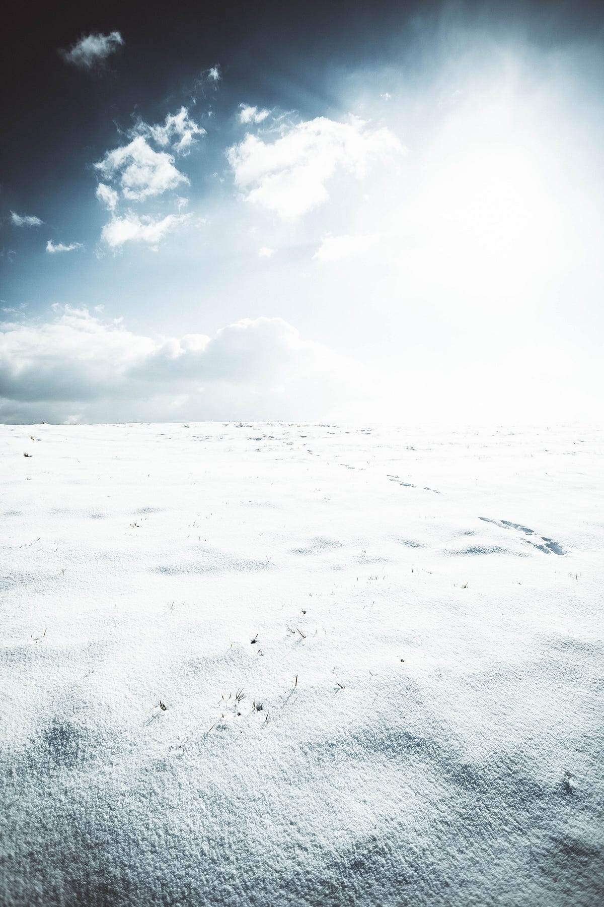 Notes From Quiet Transformation. The Paradox and Peace of Letting Go ...