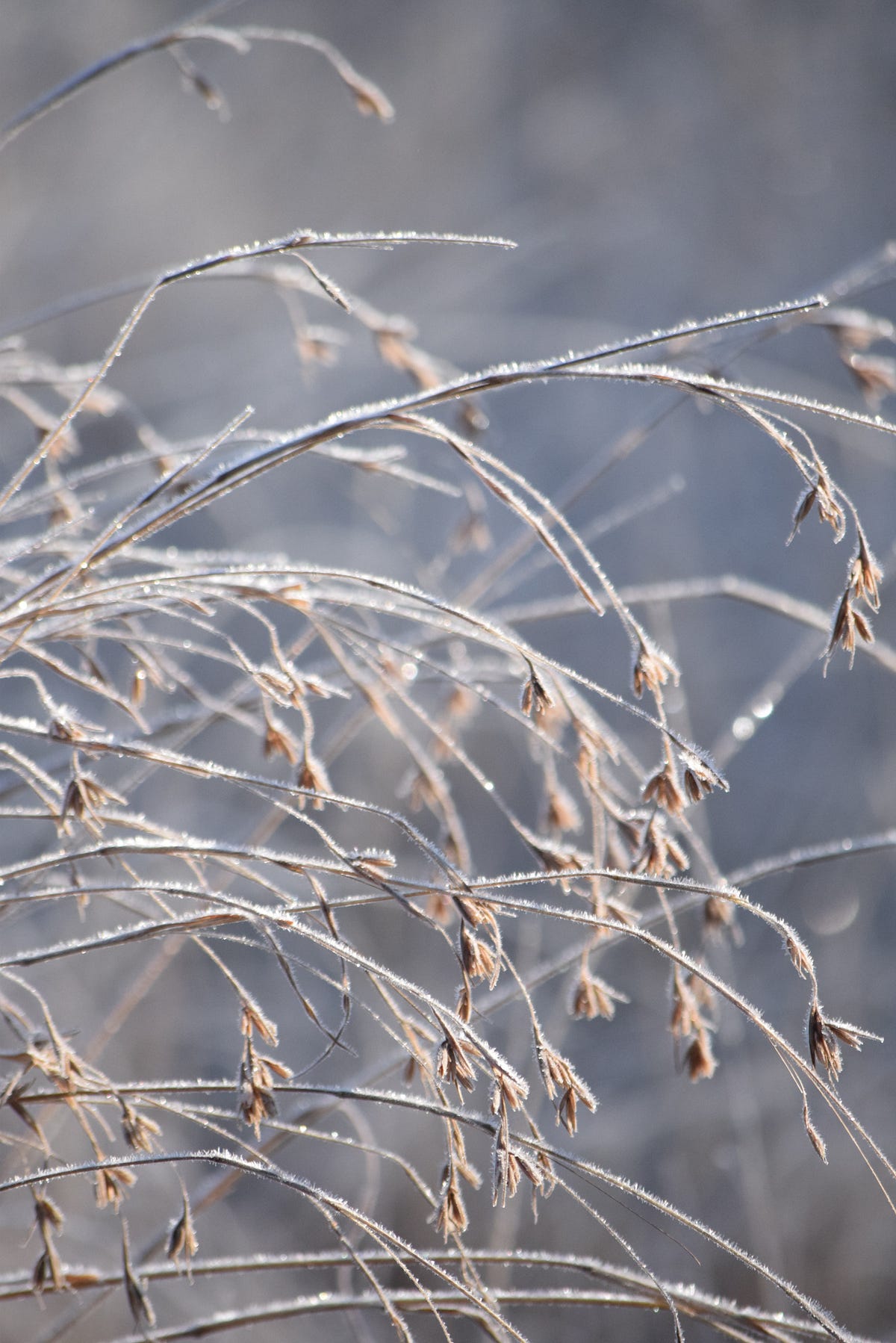 Winter ENT Woes: The Cold Brings Three Things | by Kristen E Lydecker ...