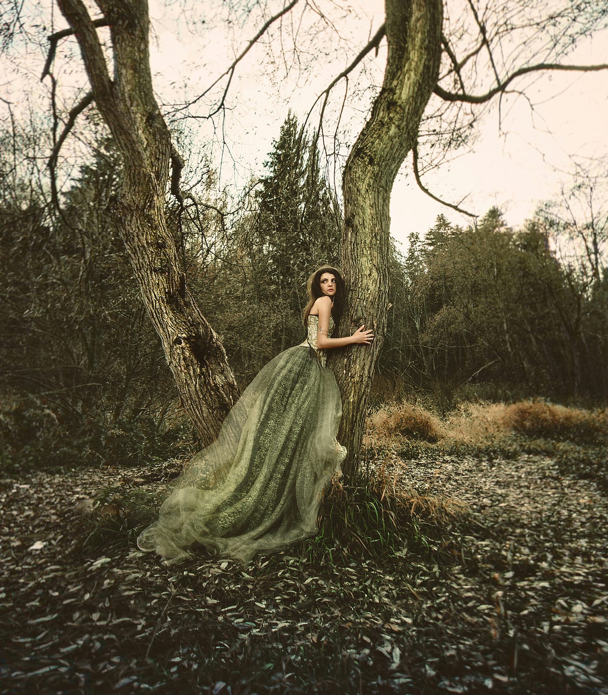 The Legend of Elara: A Tale of Self-Doubt and Triumph Over Fear | by Rajeev Mudumba ...