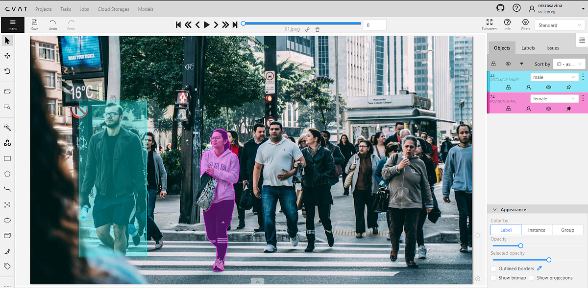 CVAT vs LabelStudio: Which One is Better? | by Mariia Krasavina | CVAT.ai | Medium