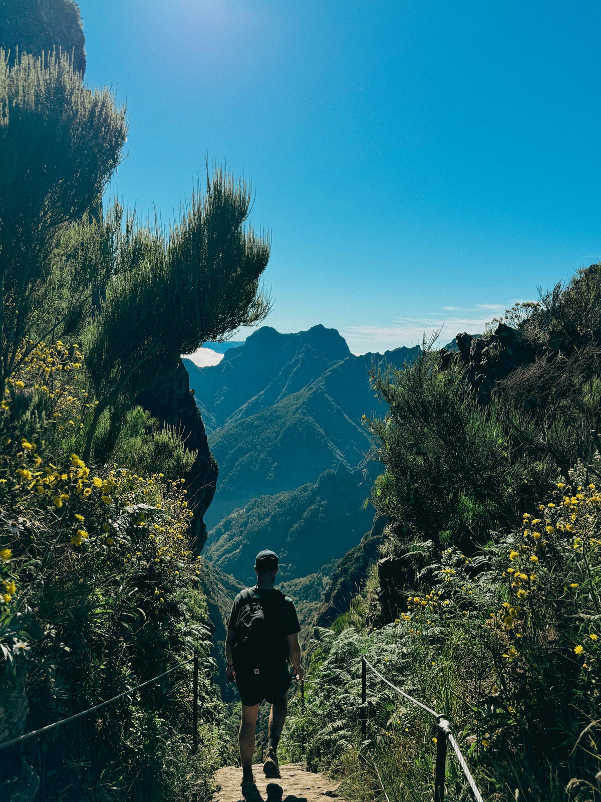 Funchal, Madeira & Santa Cruz de Tenerife — The Dual Atlantic Spiral of ...