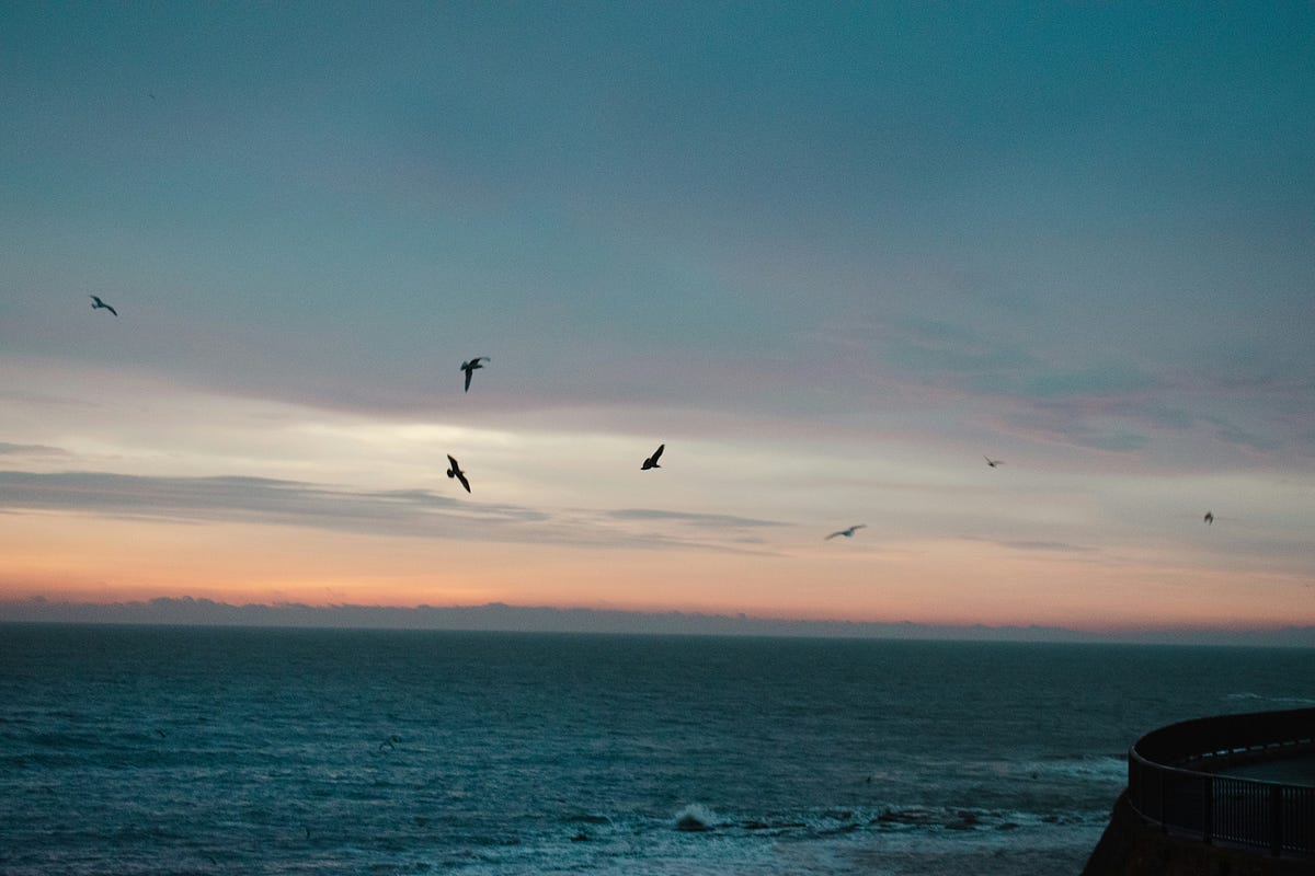 Morning skies… | by Goel Niti | Medium