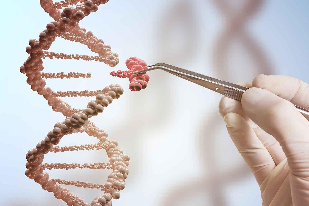 HUMAN GENE ENHANCEMENT. Where do we draw the line? | by Gene Genius ...