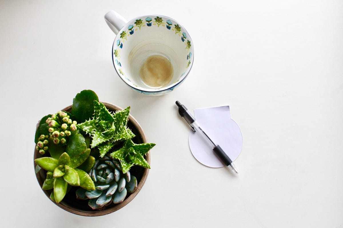 How to use prettier to customize your code formatting | by sam ...