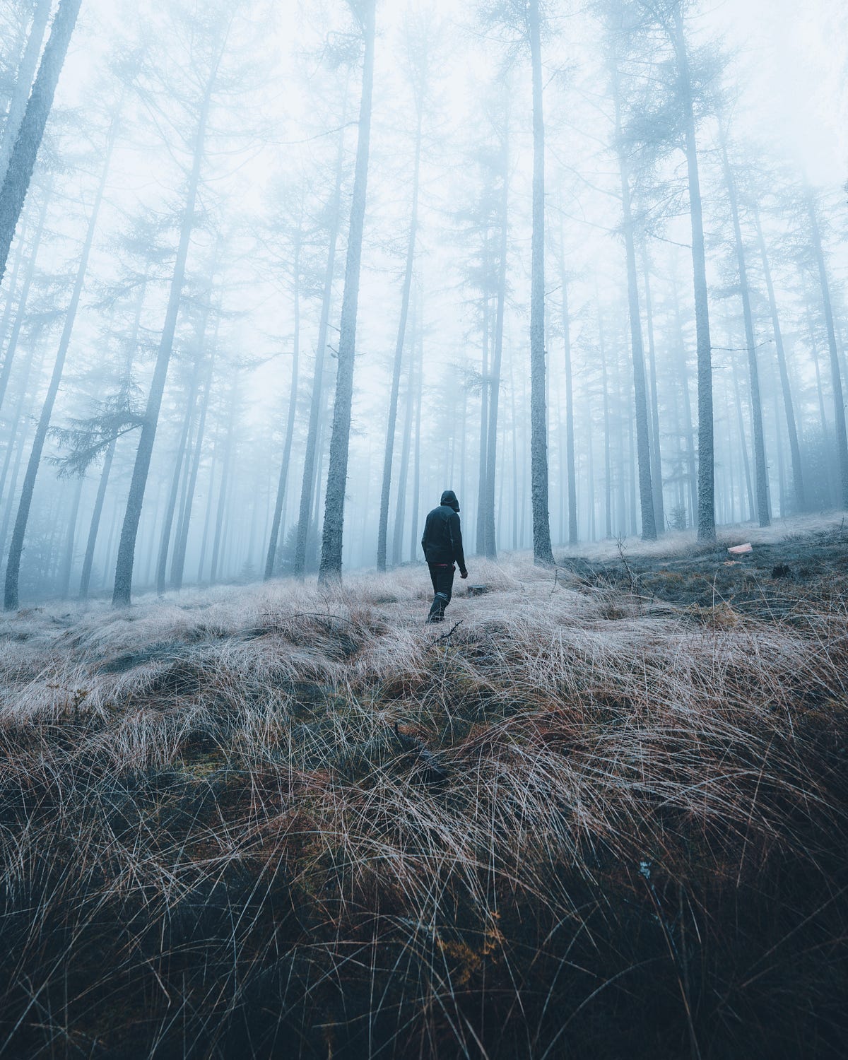 About Me — David Rudder. Me, Myself, and I — This is who I am | by ...