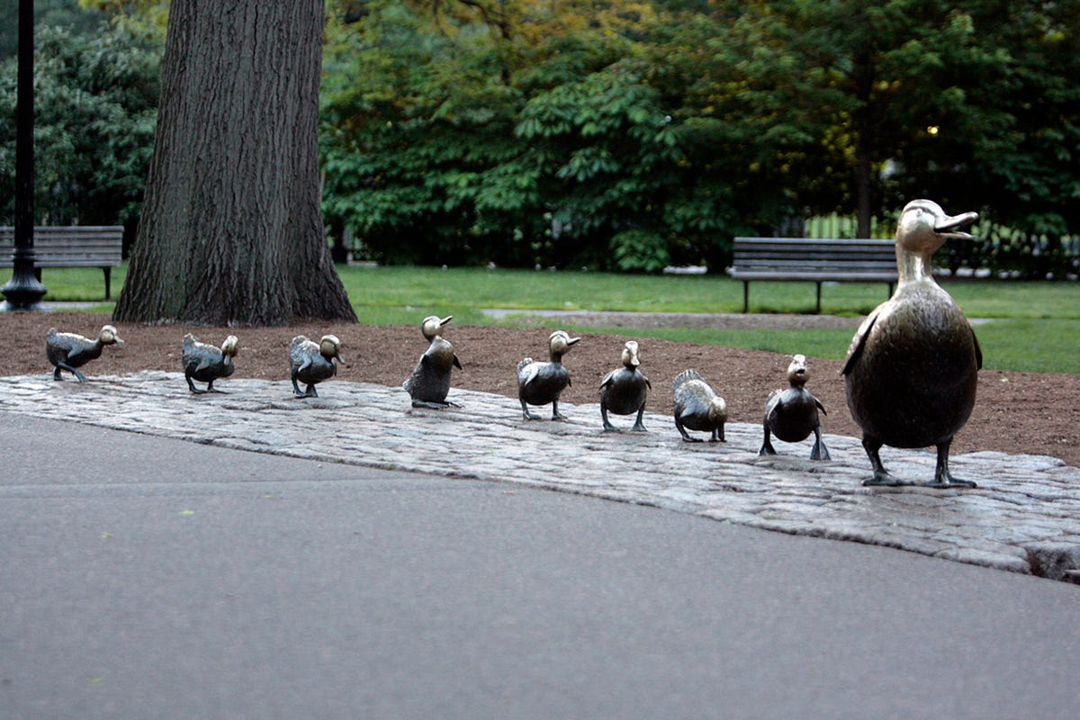 5 Ways to Get your Ducks in a Row | by Priscilla Ramos | Word Garden ...