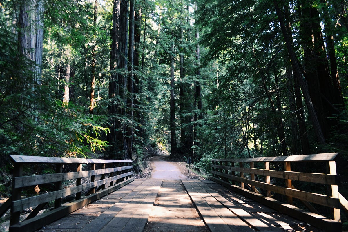 YouTubers to Follow: Nomadic Ambience | by The Guide Post | Medium