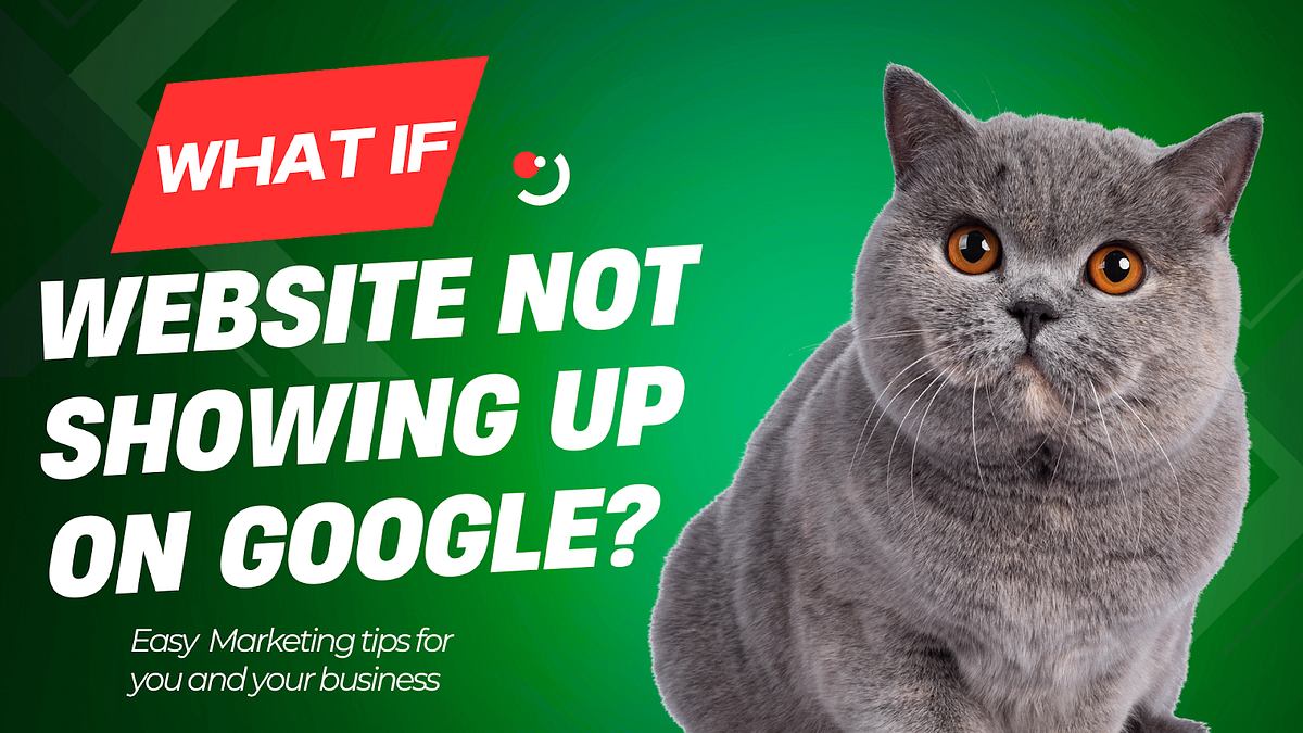Website Not Showing Up on Google. Reasons and Working Solutions | by ...