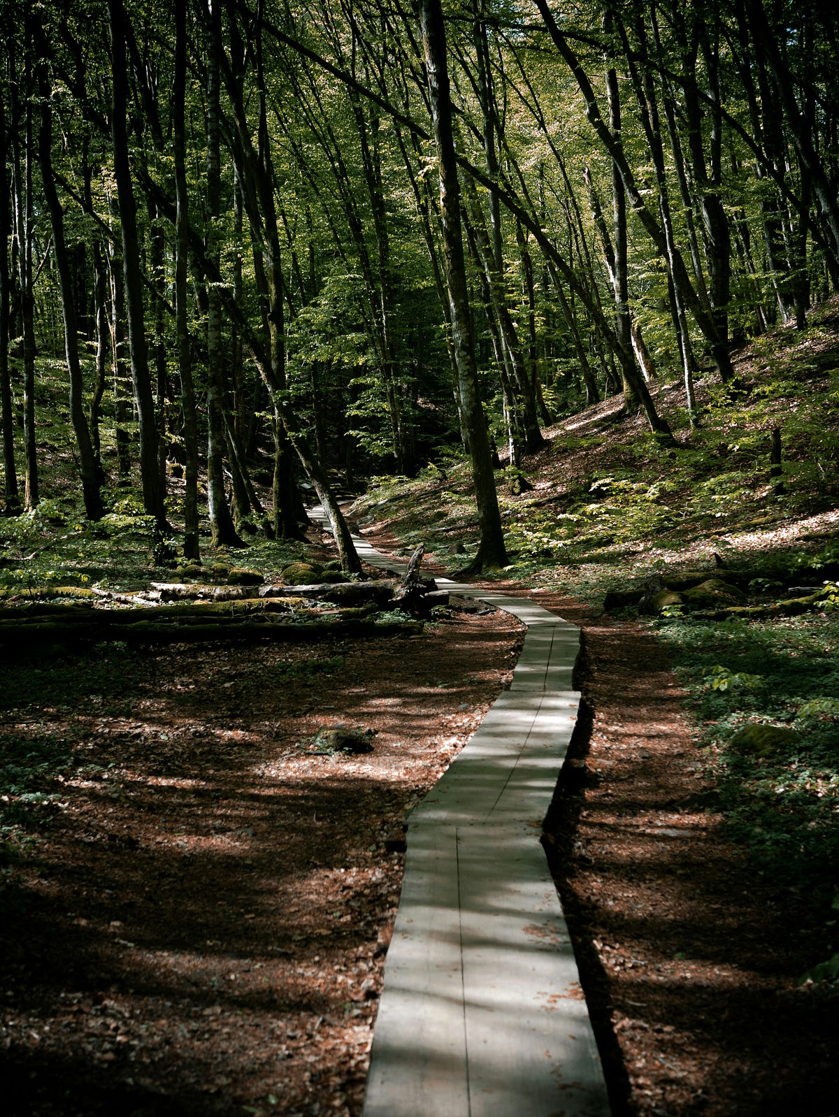 The Desire to Be Known — and the Beauty of Being Unknown | by Sumaiya | ILLUMINATION | Medium