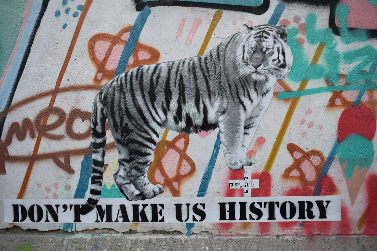 Children Are Not Tigers: The Horrors of Lost Innocence in Tigers Are ...