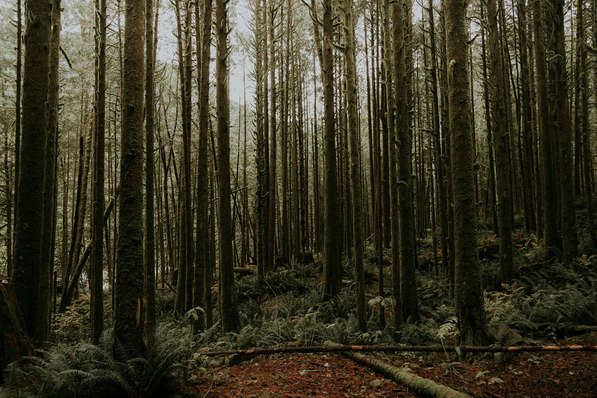 “CLASS, CLASS! YES, YES! Shut the F*CK UP!” (If you want a popcorn ...